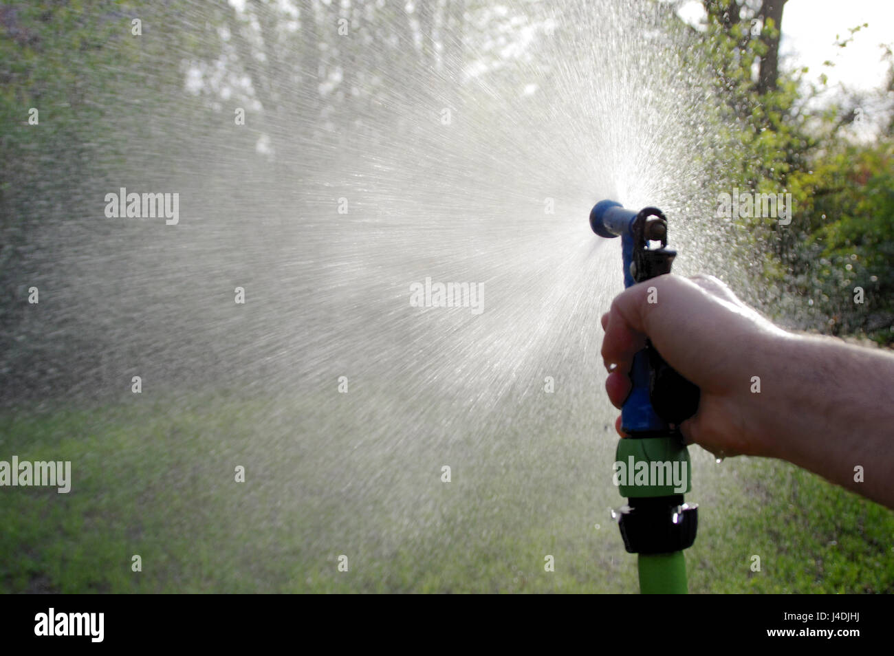 Hand with water gun during home lawn watering Stock Photo - Alamy