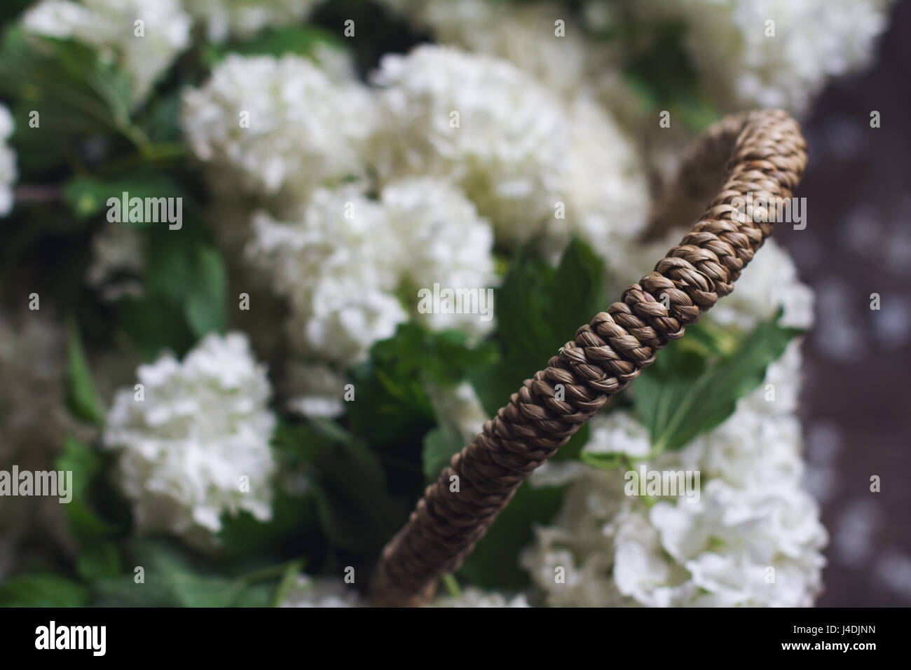 top view closeup of wicker bag with knitted handles full of white ...