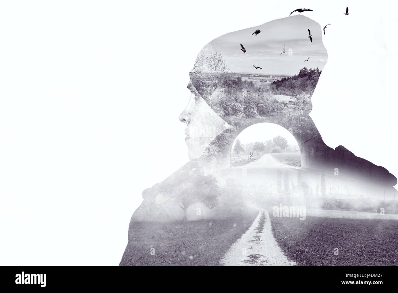 double exposure of young thinking man with nature and birds isolated in ...