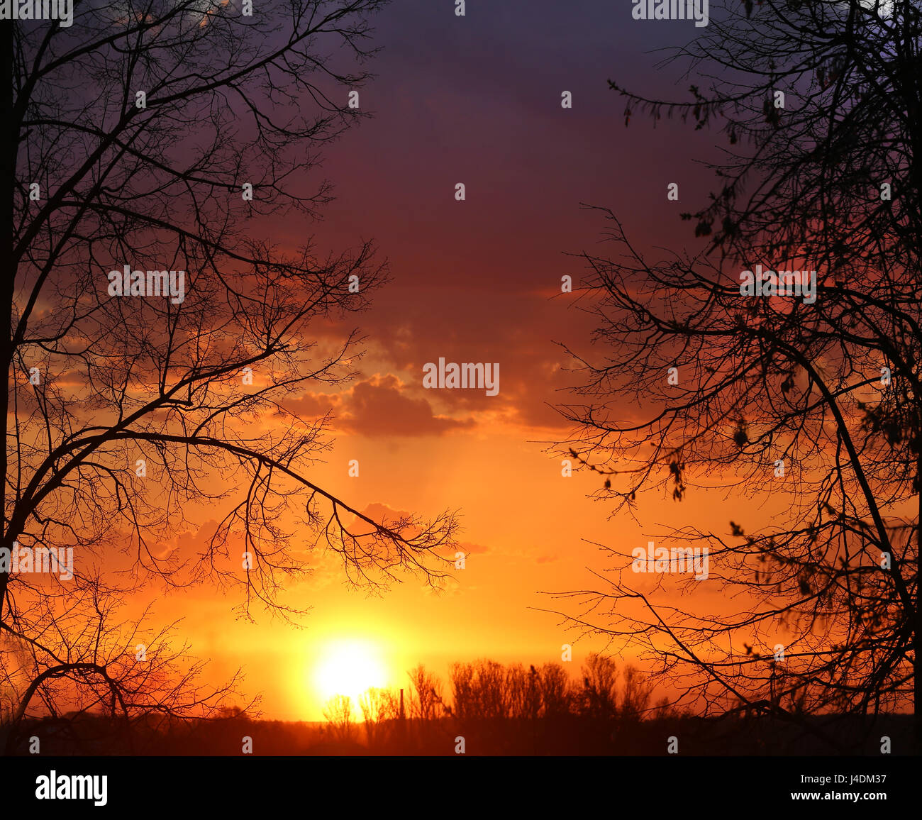 Beautiful sunset in the sky to photograph closeup Stock Photo - Alamy