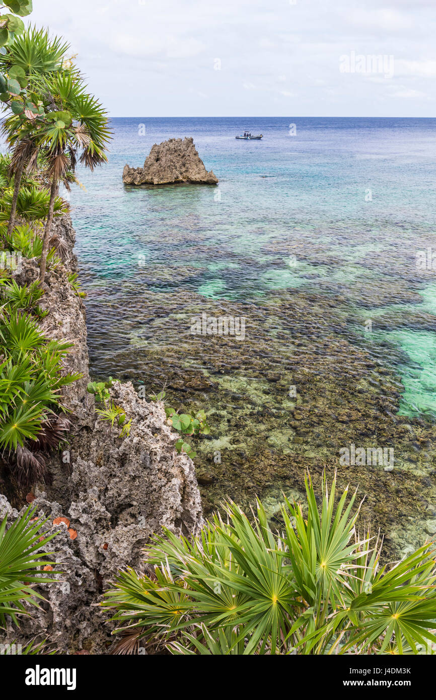 Palm trees on a cliff above the crystal clear waters of the Roatan ...