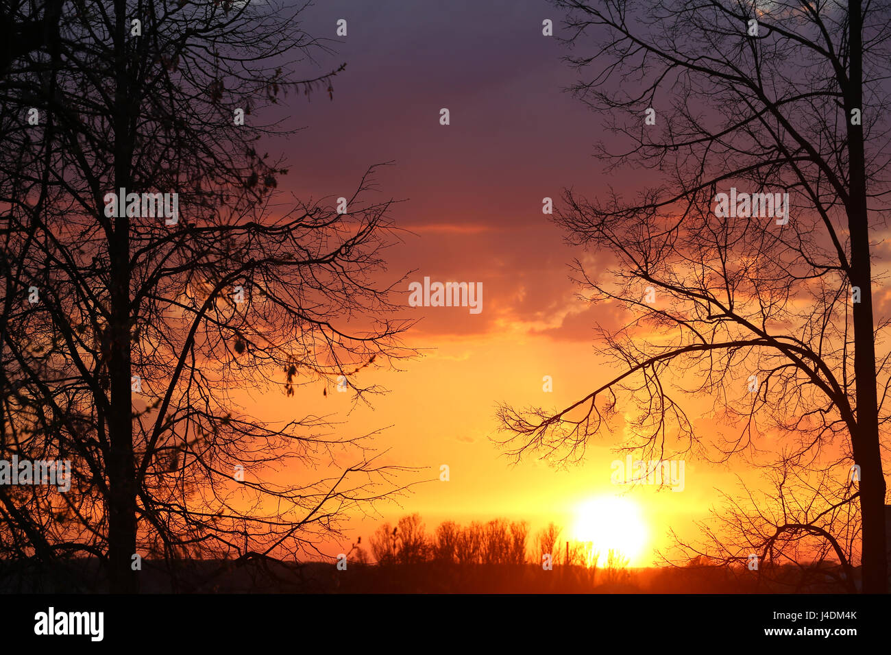 Beautiful sunset in the sky to photograph closeup Stock Photo - Alamy