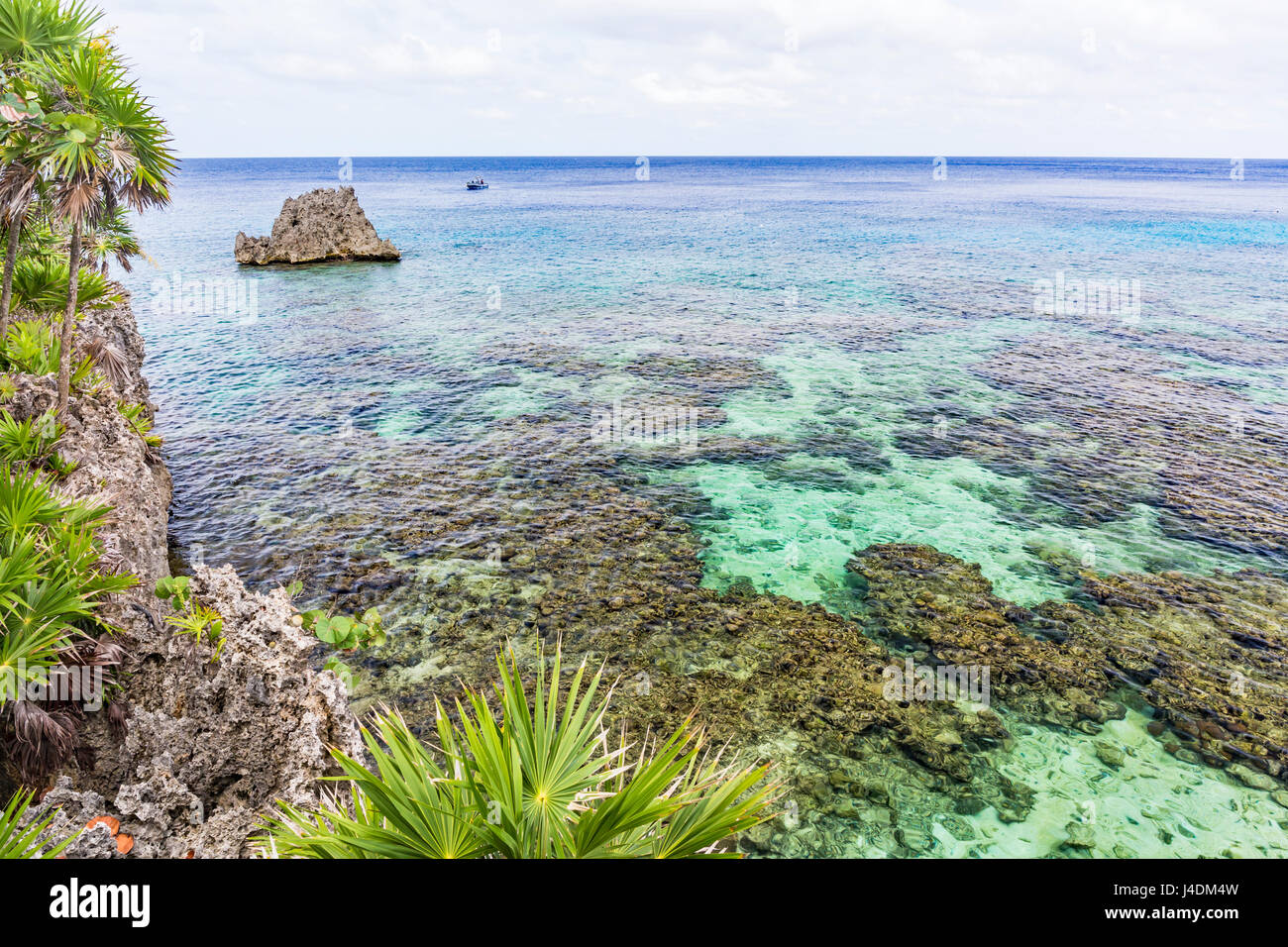 Palm trees on a cliff above the crystal clear waters of the Roatan ...