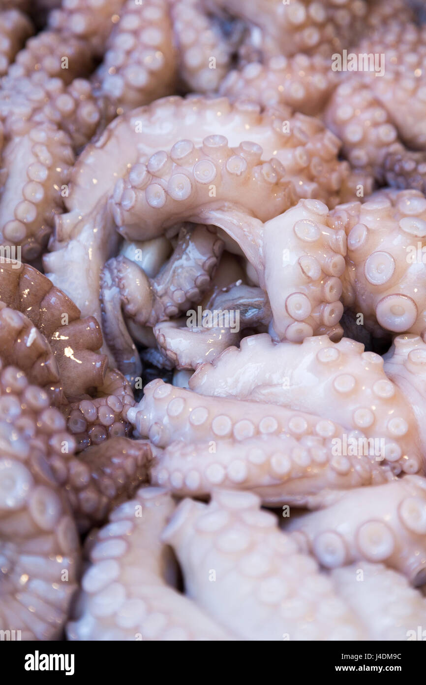 Octopus for sale hi-res stock photography and images - Alamy