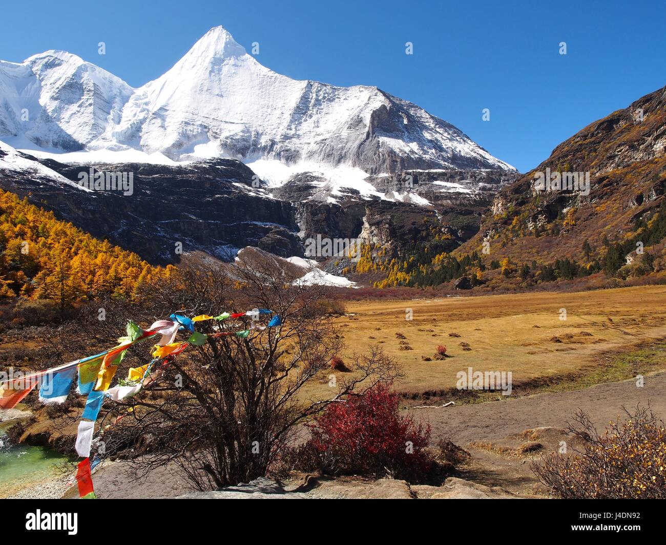 The Autumn at Yading Nature Reserve in Daocheng County ,China Stock ...
