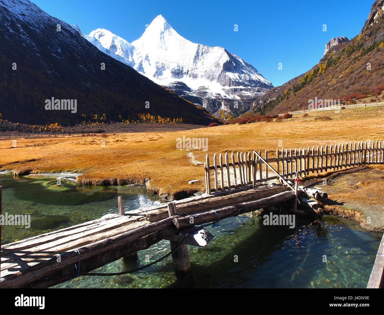The Autumn at Yading Nature Reserve in Daocheng County ,China Stock ...