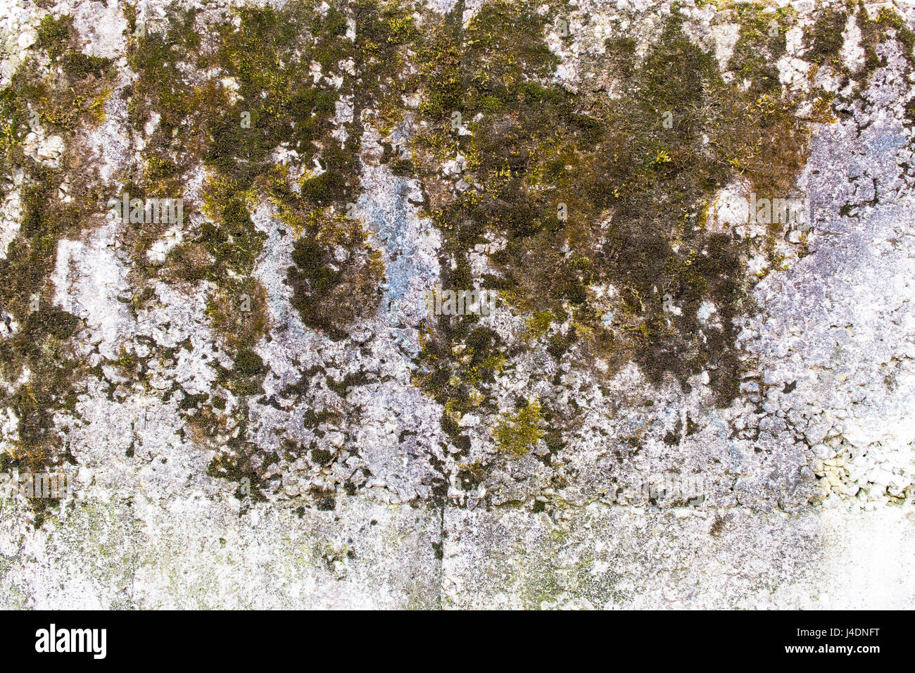 Moss concrete hi-res stock photography and images - Alamy