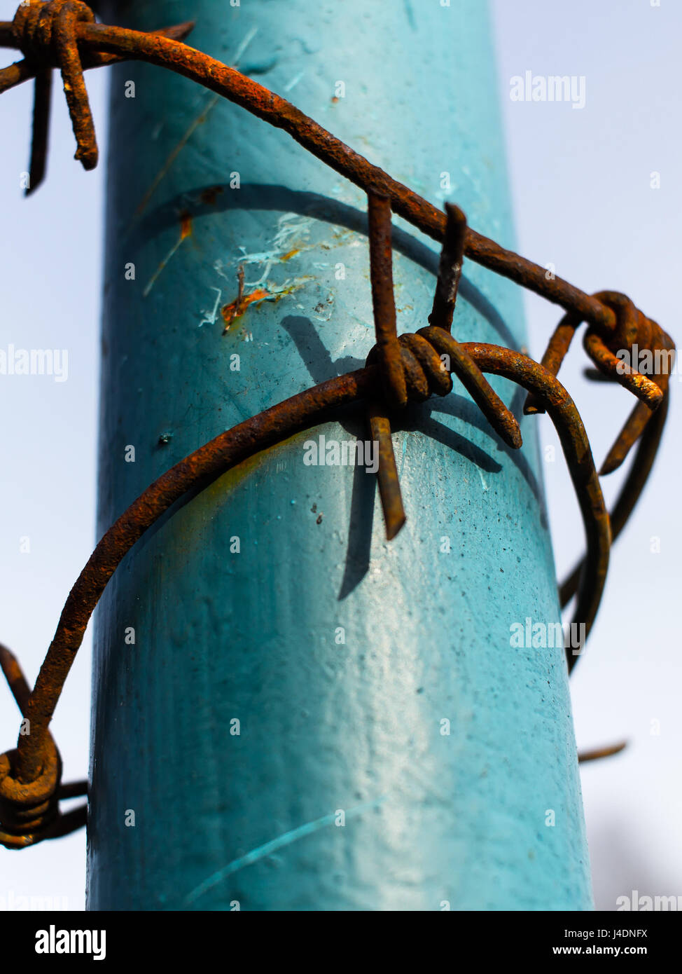 Old rusty barbed wire coiled around painted steel pipe pillar fence ...