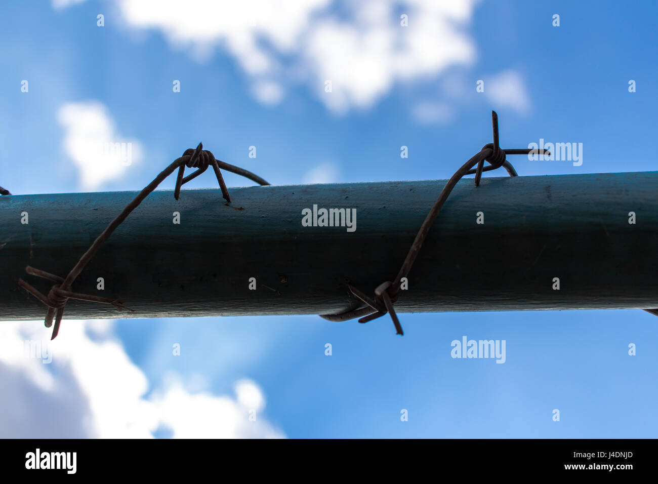 Closeup barbed wire against a beautiful blue sky and white clouds Stock ...