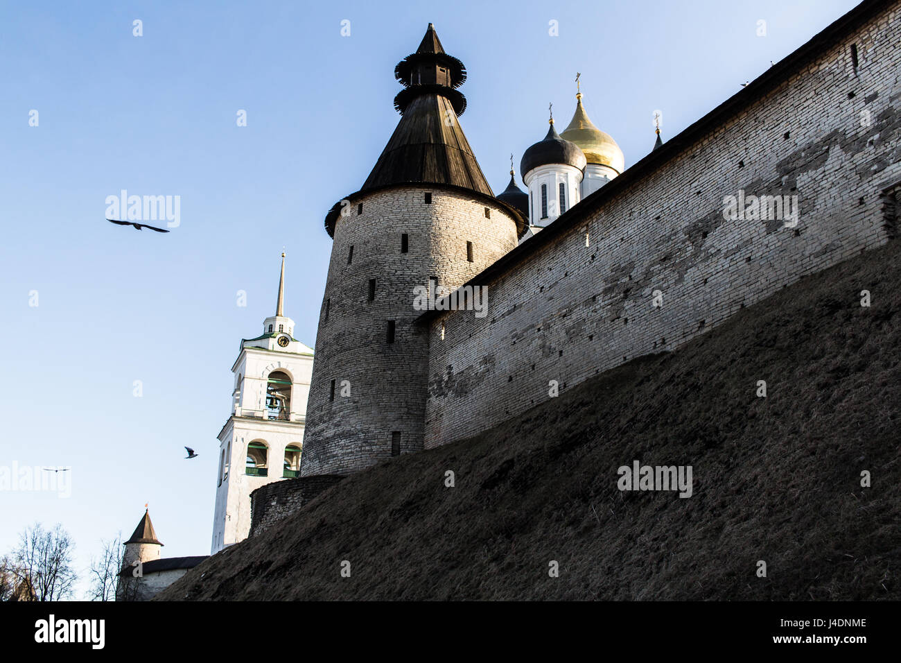 The ancient Russian city of Pskov. Fortress wall and limestone tower ...