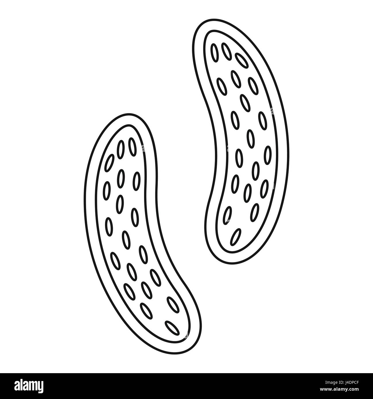 Epithelial cell icon, outline style Stock Vector Image & Art - Alamy