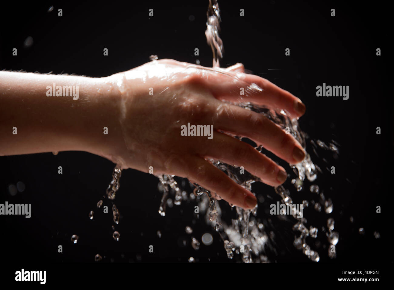Aqua catching hi-res stock photography and images - Alamy