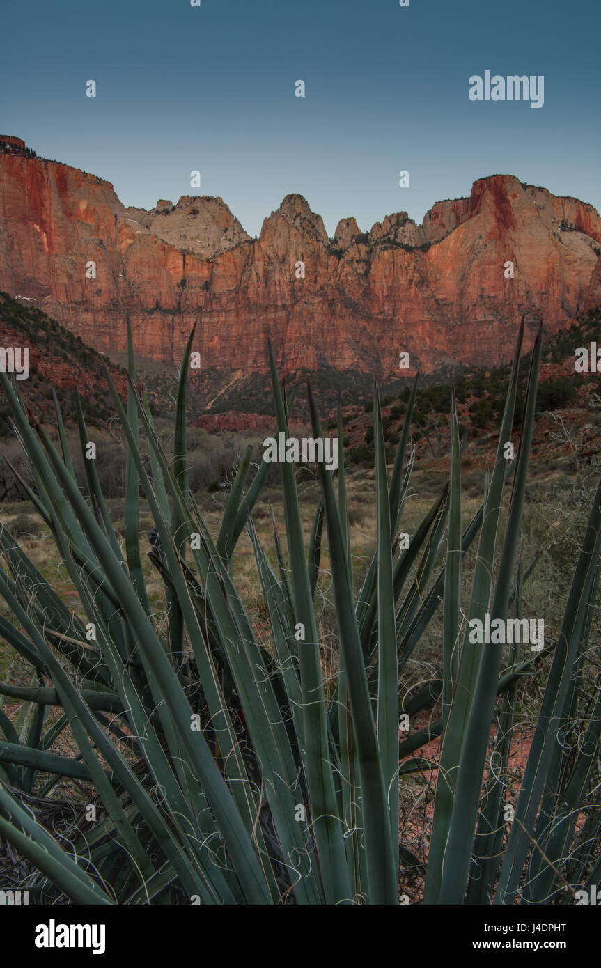 Morning Light at West Temple in Zion National Park Stock Photo - Alamy