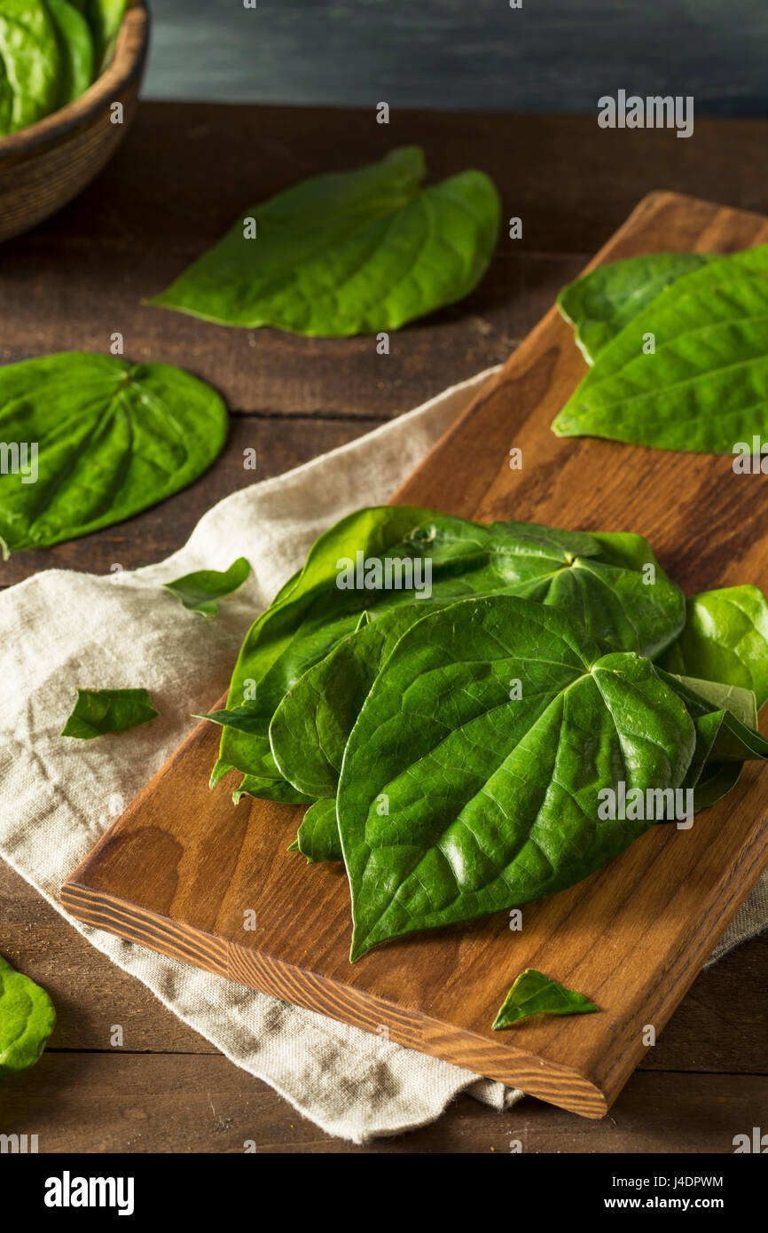 Raw Organic Green Pan Leaves Ready to Cook With Stock Photo - Alamy