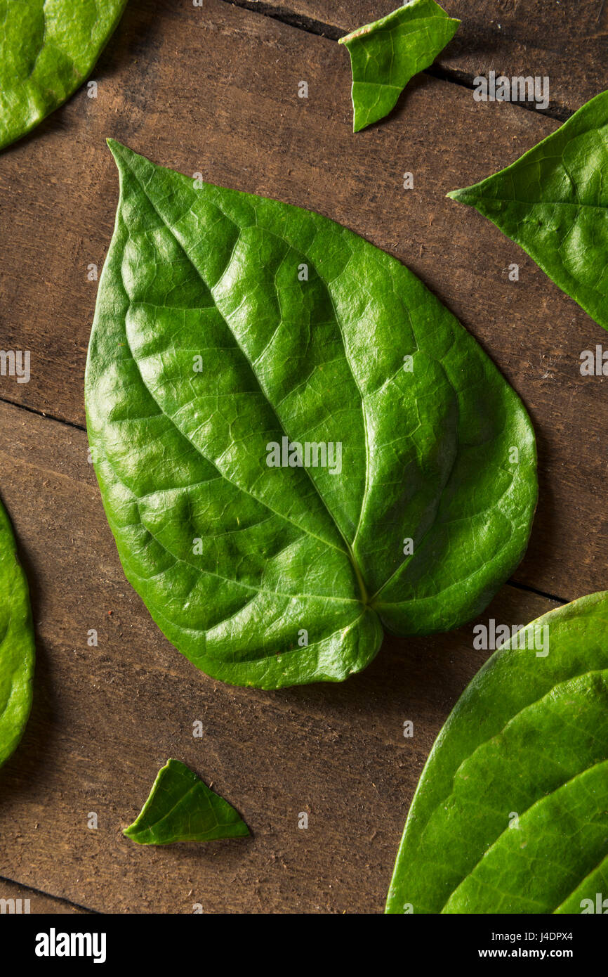Raw Organic Green Pan Leaves Ready to Cook With Stock Photo - Alamy