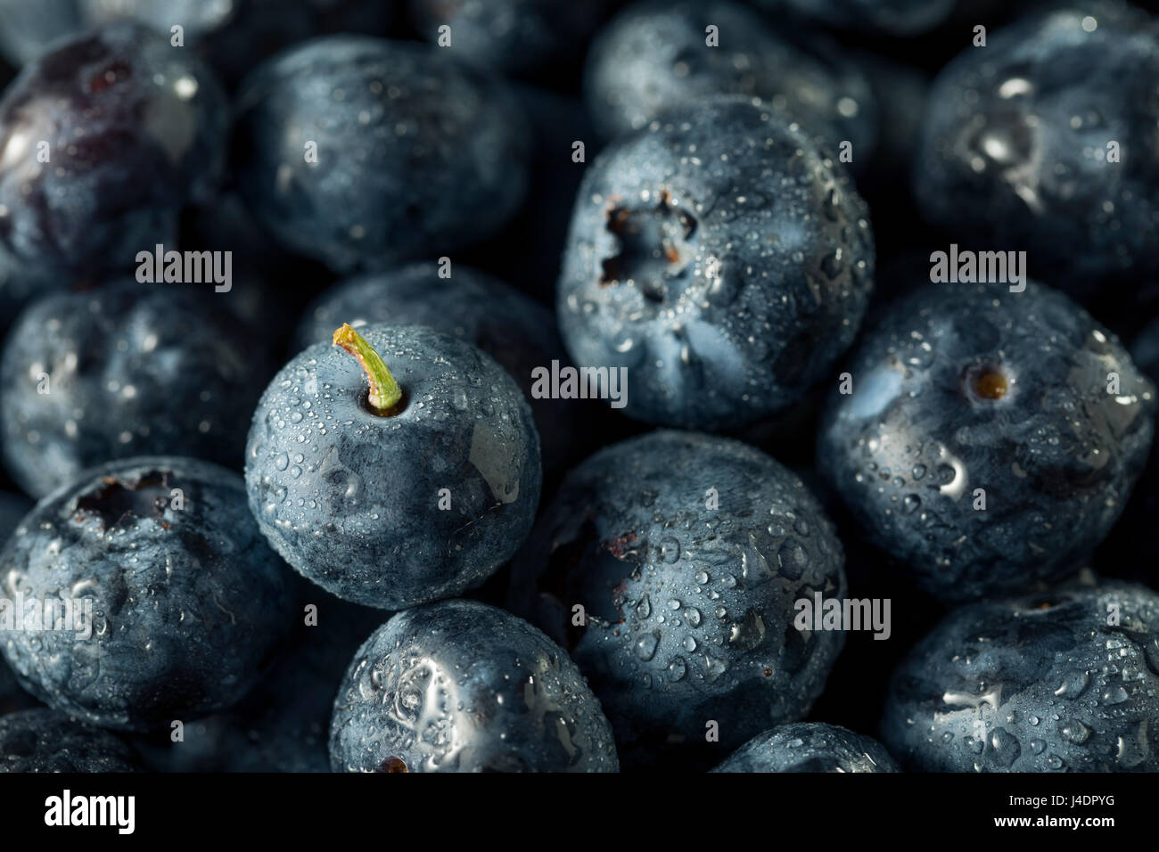 Healthy blueberries hi-res stock photography and images - Alamy