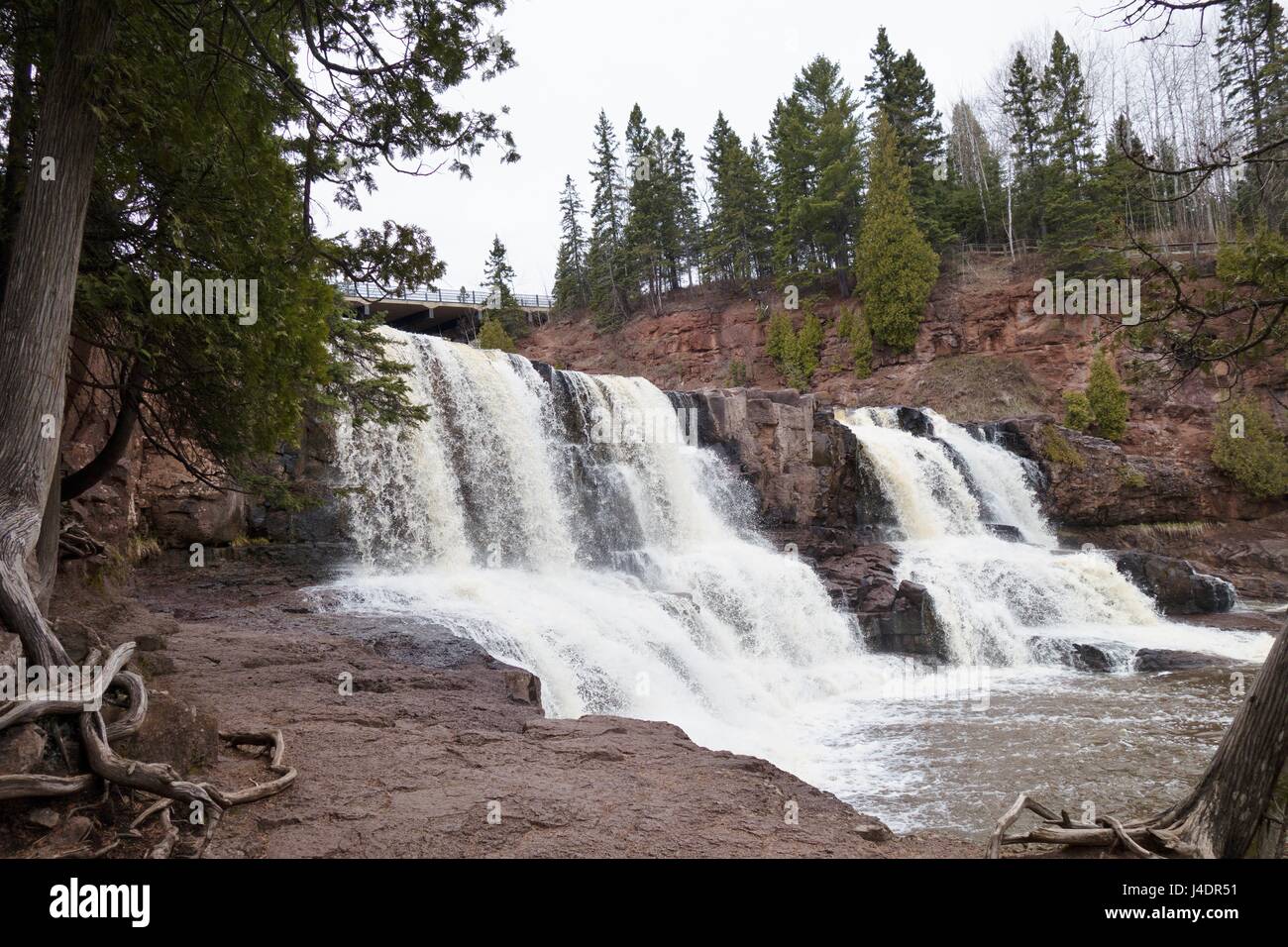 Exposed tree roots next to the falls at Gooseberry Falls State Park in ...