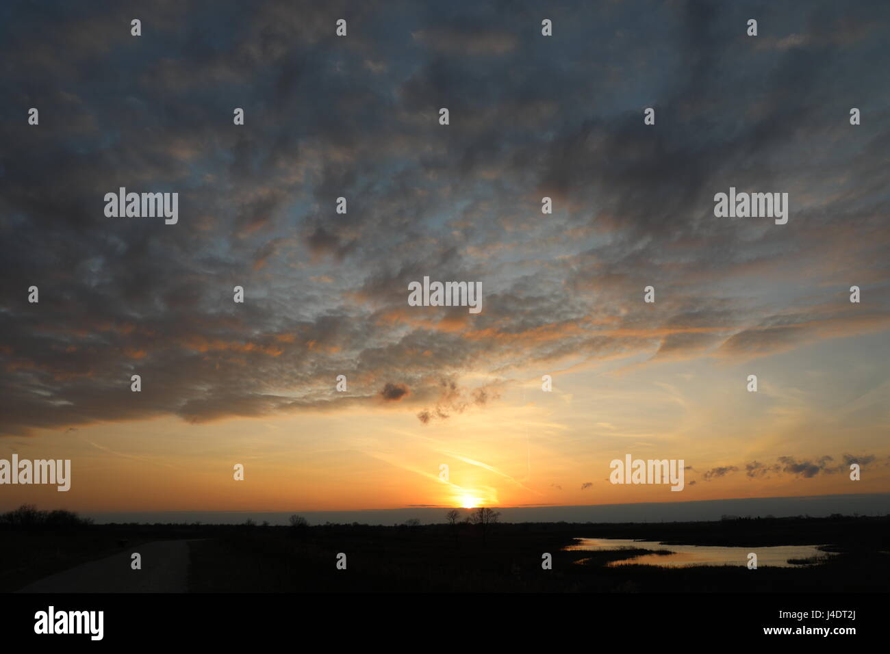 Springbrook Prairie Forest Preserve, Naperville IL Stock Photo - Alamy