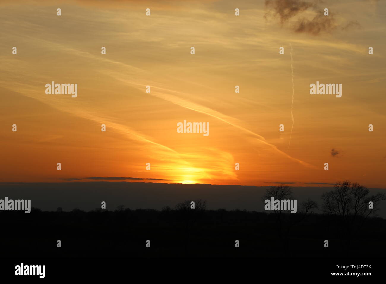 Springbrook Prairie Forest Preserve, Naperville IL Stock Photo - Alamy