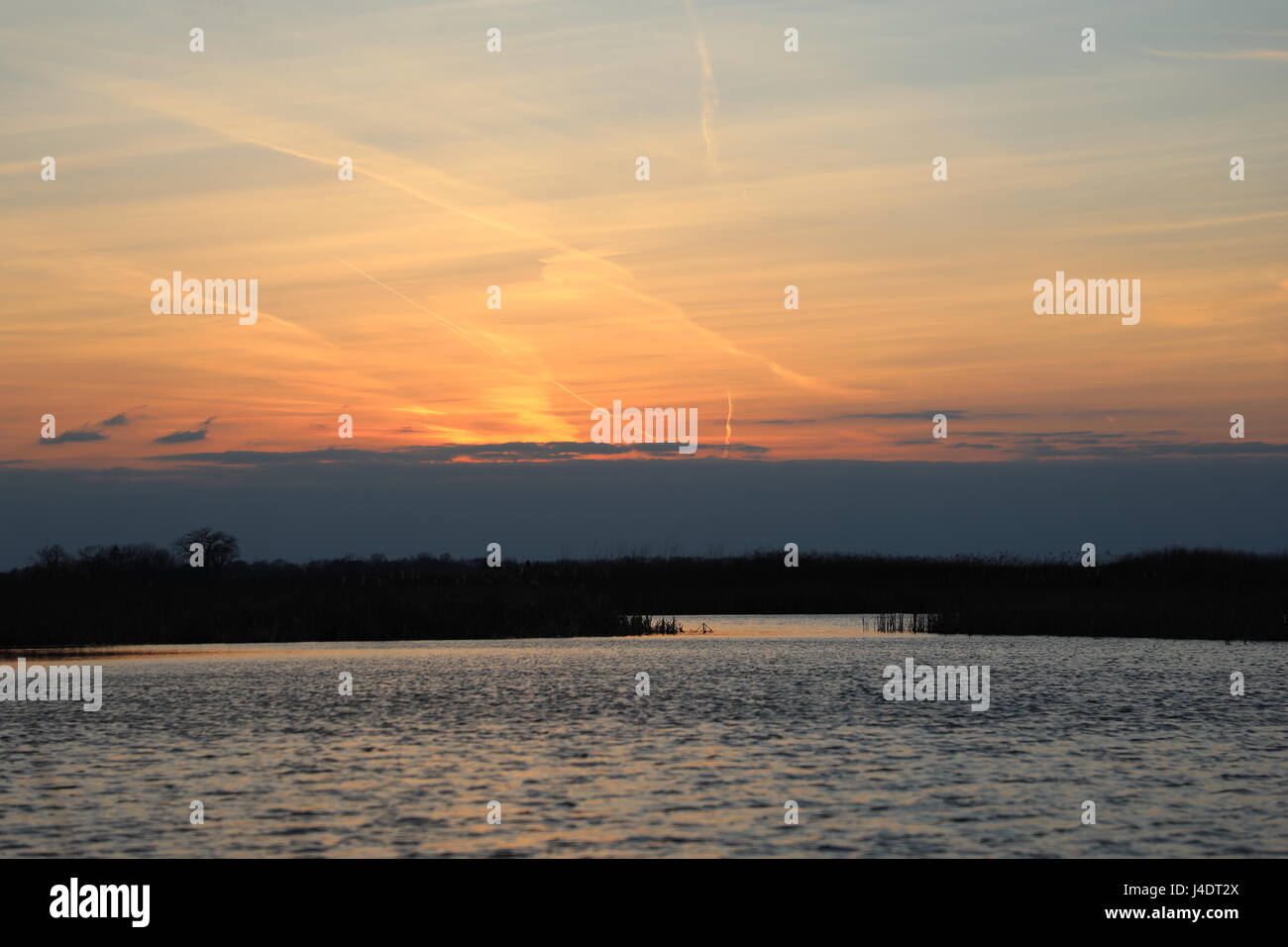 Springbrook Prairie Forest Preserve, Naperville IL Stock Photo - Alamy