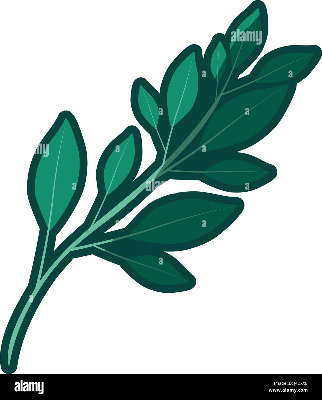 colorful thick contour of branch with leaves Stock Vector Image & Art ...