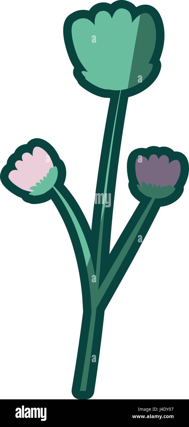 Thick stem Stock Vector Images - Alamy