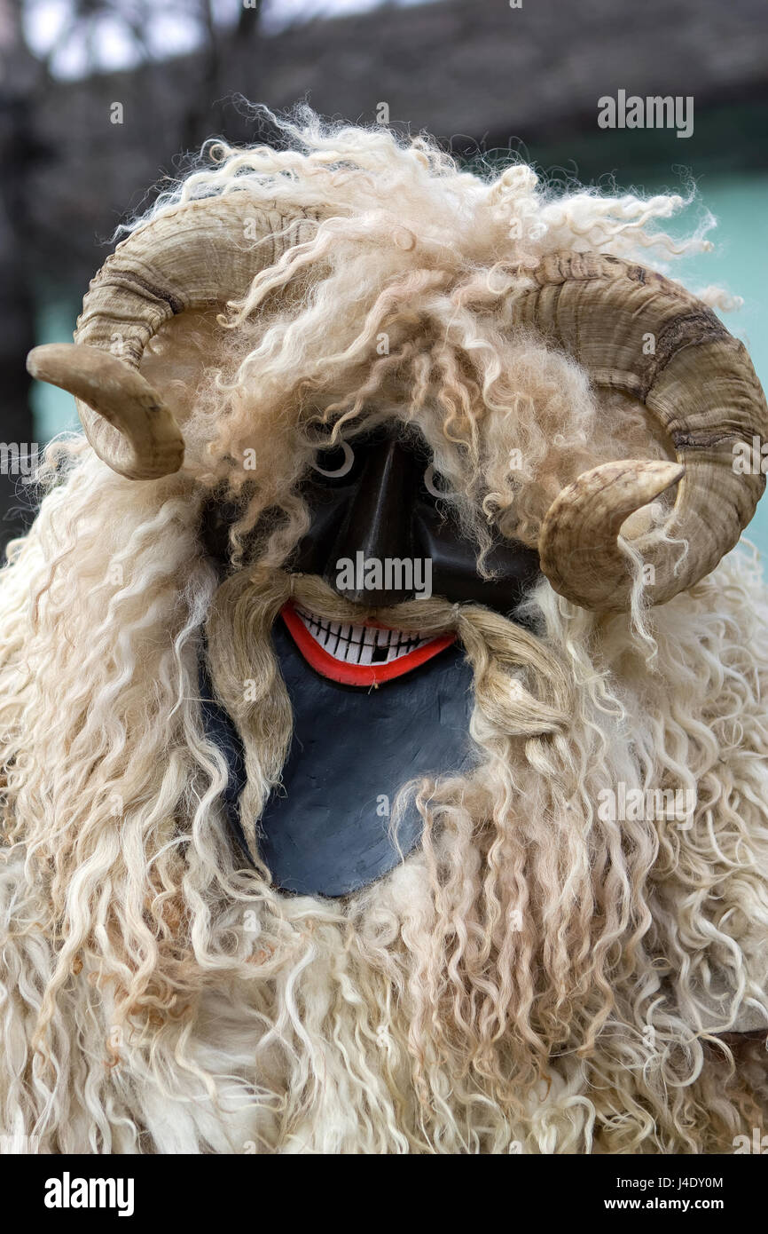 Portrait of a busó in handmade, carved and painted mask and woolly ...