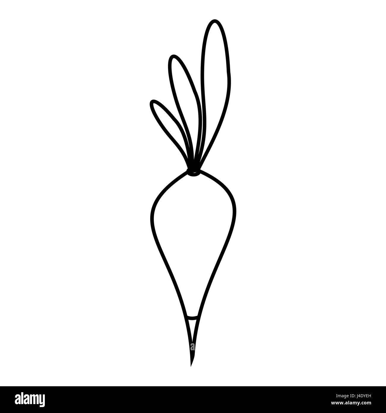 Radish Outline