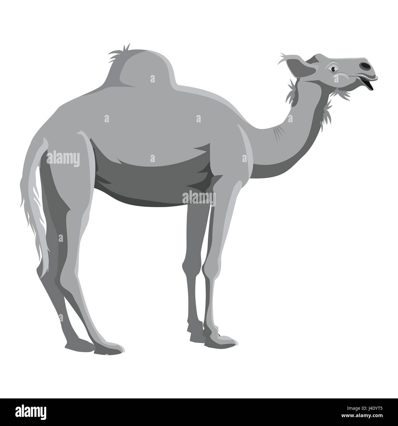 Camel icon, gray monochrome style Stock Vector Image & Art - Alamy