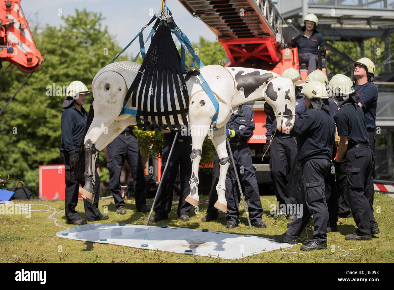 Cologne, Germany. 11th May, 2017. Firefighters of the Cologne's ...