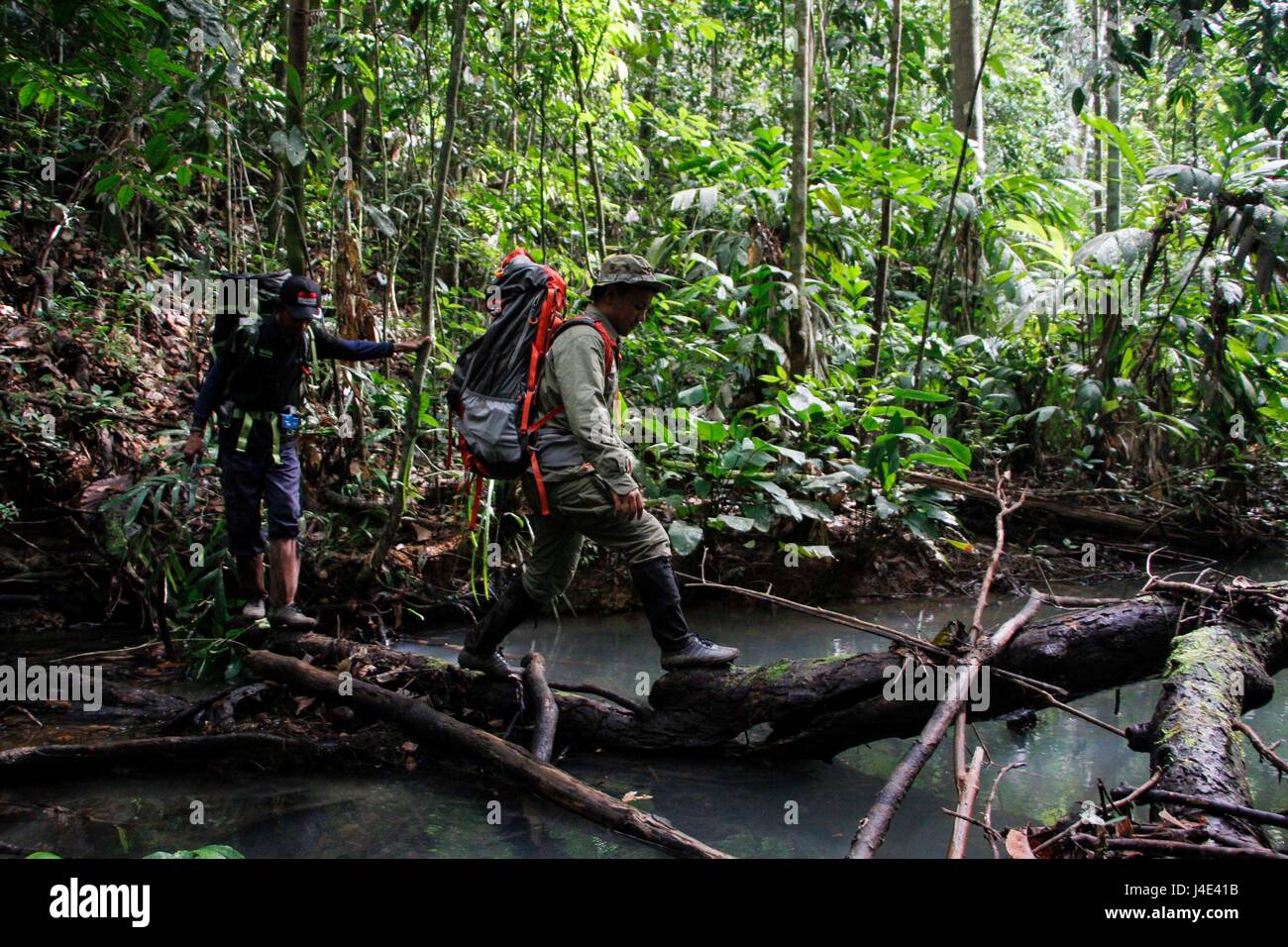 Indonesian rescue animals hi-res stock photography and images - Alamy