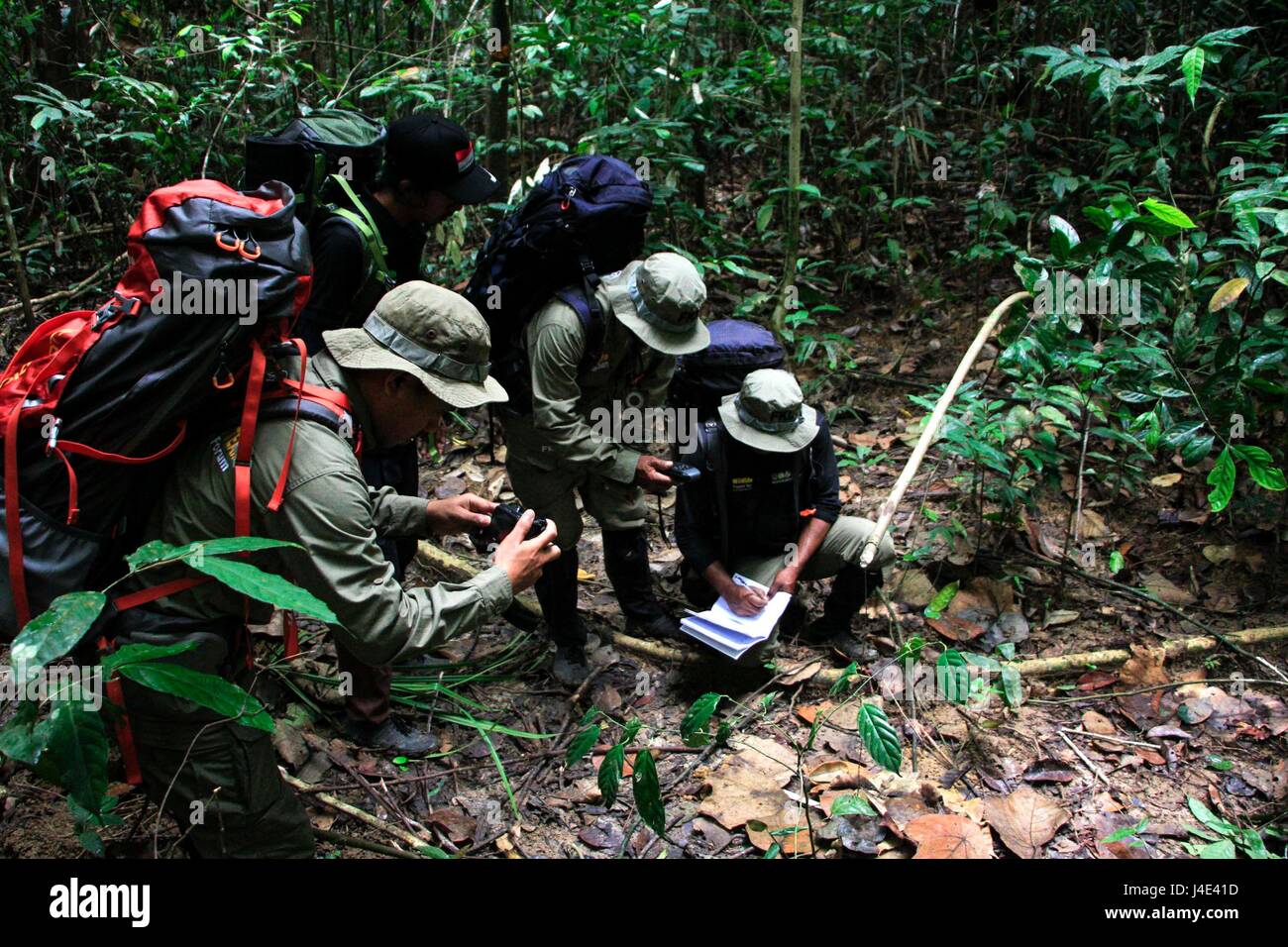 Forest rangers hi-res stock photography and images - Alamy