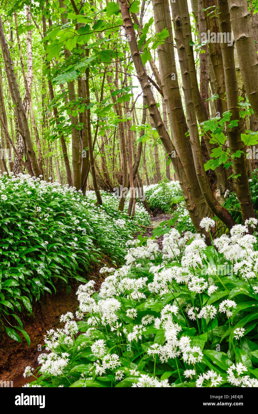 Misk hills nottinghamshire hi-res stock photography and images - Alamy