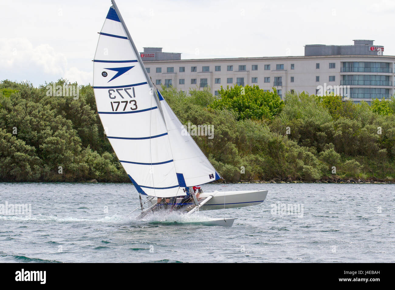 Small catamaran sailing boat on High Resolution Stock Photography and ...