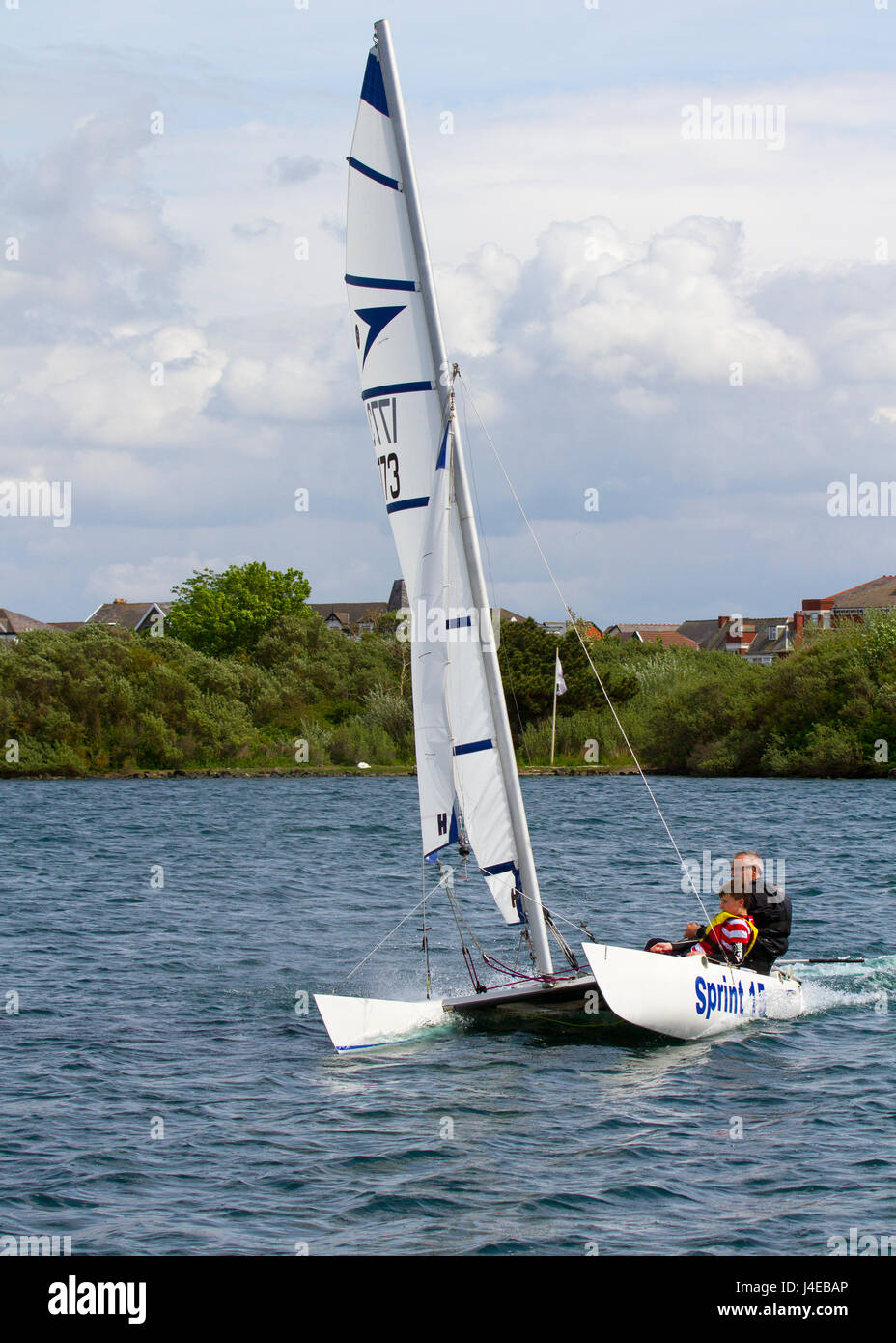 Small catamaran sailing boat on High Resolution Stock Photography and ...