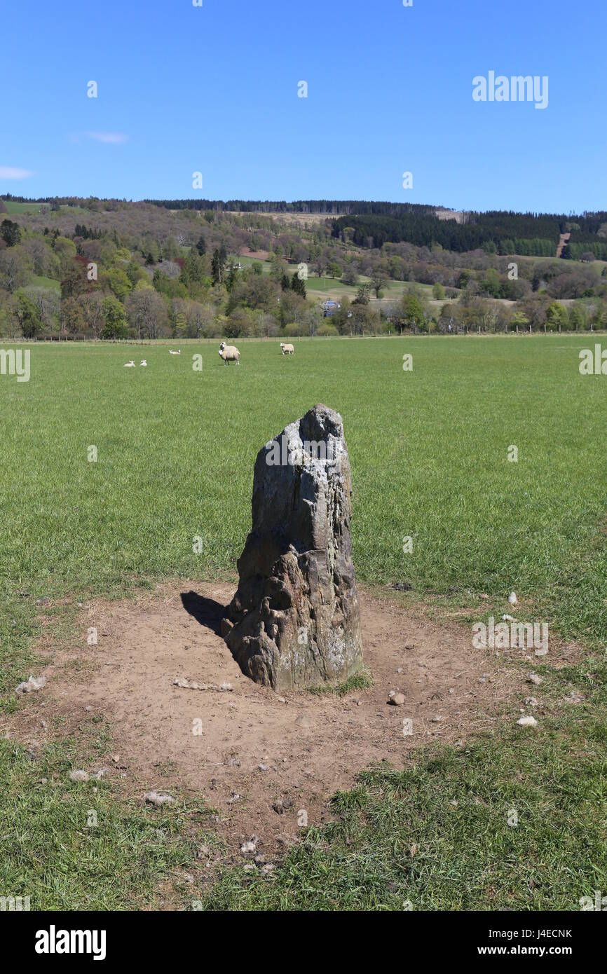 Standing stone Haugh Of Grandtully Farm Scotland May 2017 Stock Photo ...