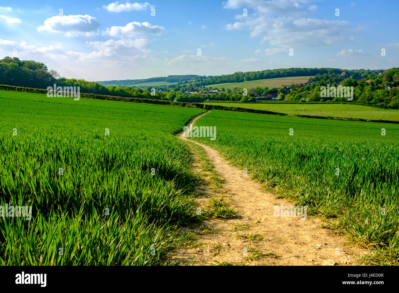 Farm field footpath hi-res stock photography and images - Alamy