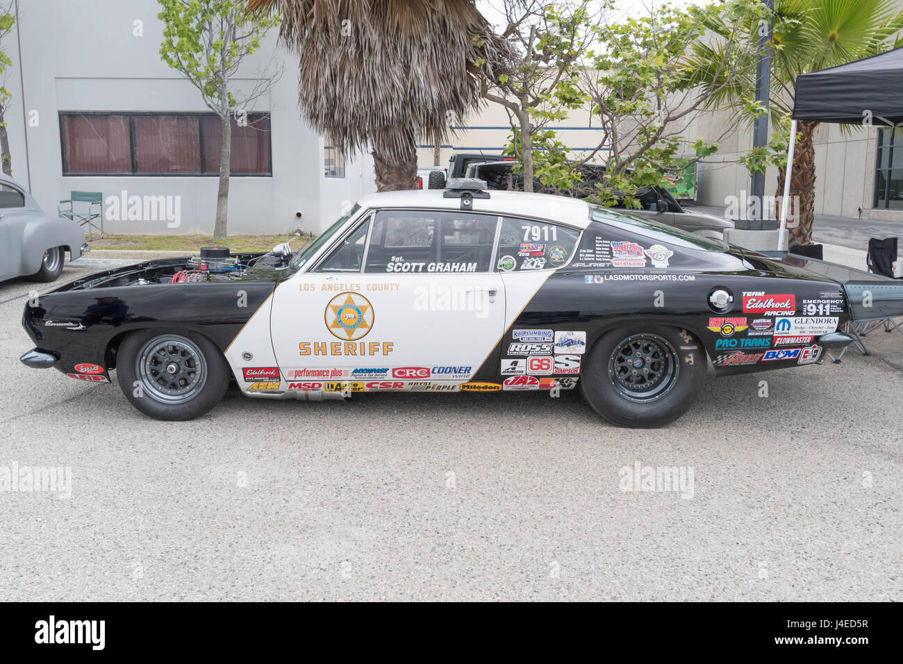 Cuda hi-res stock photography and images - Alamy