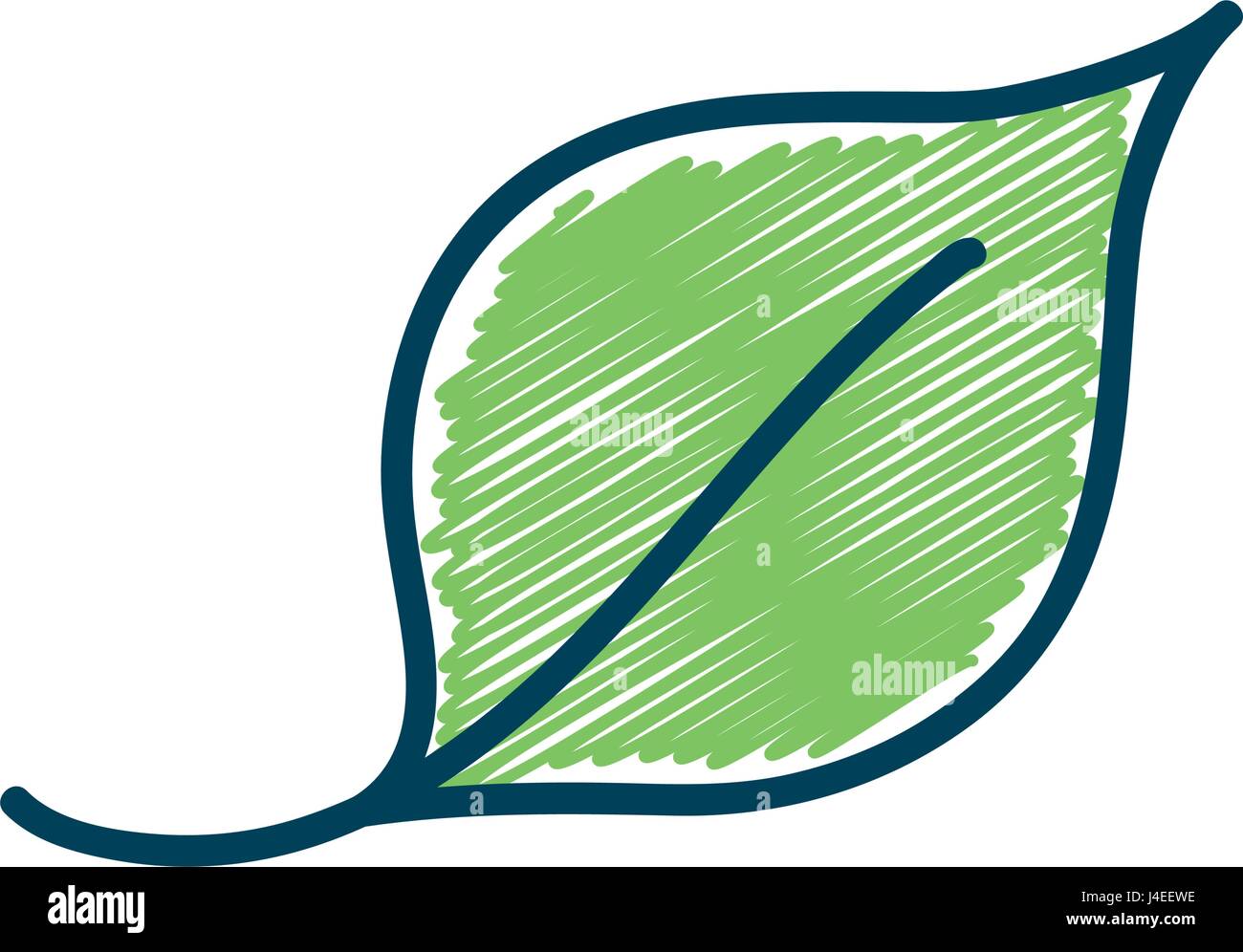 nice organic leaf plant Stock Vector Image & Art - Alamy