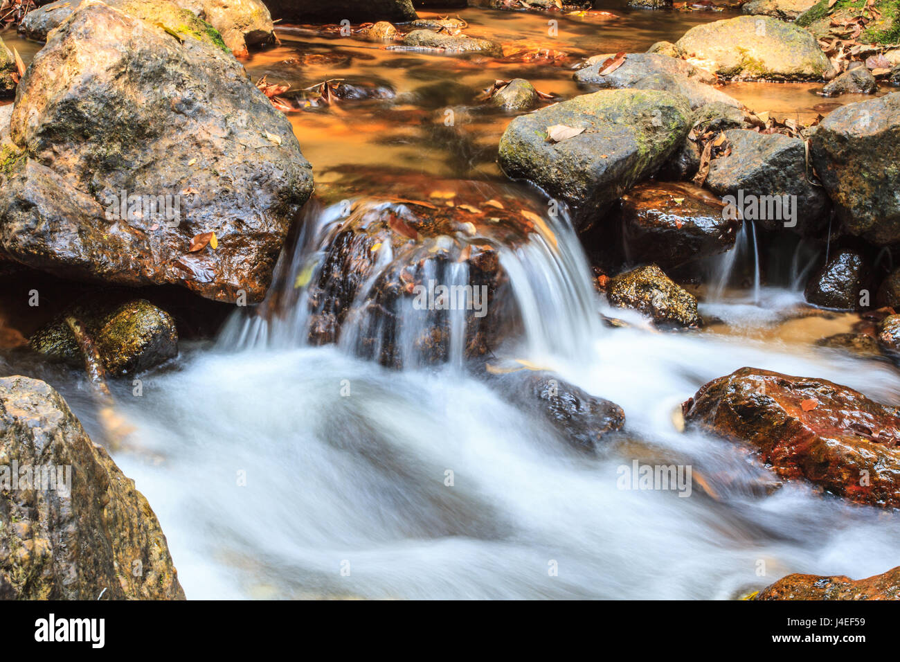 rainforest waterfall and rocks covered with moss in stream Stock Photo ...