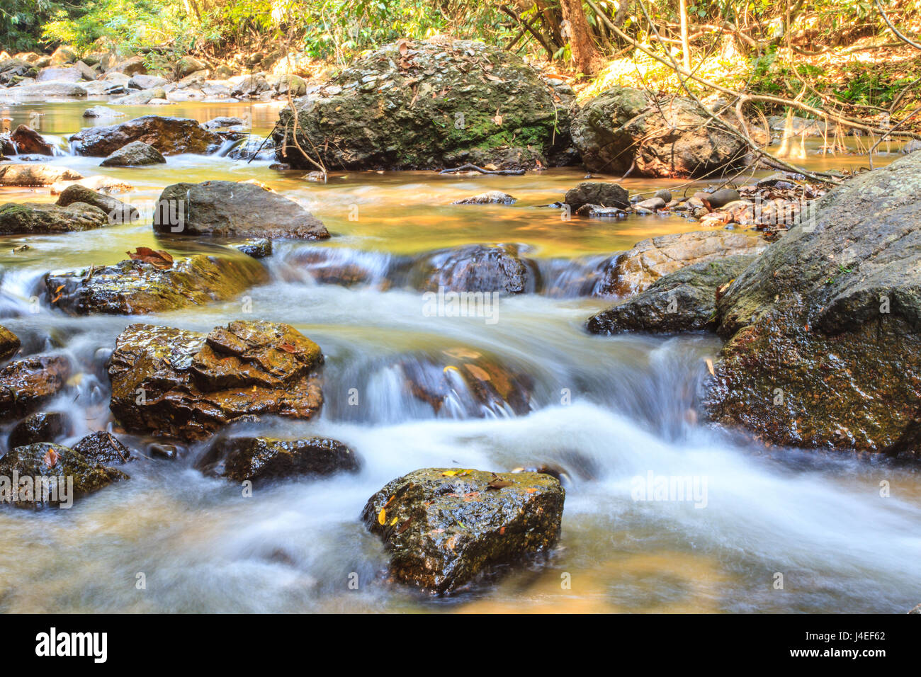 rainforest waterfall and rocks covered with moss in stream Stock Photo ...