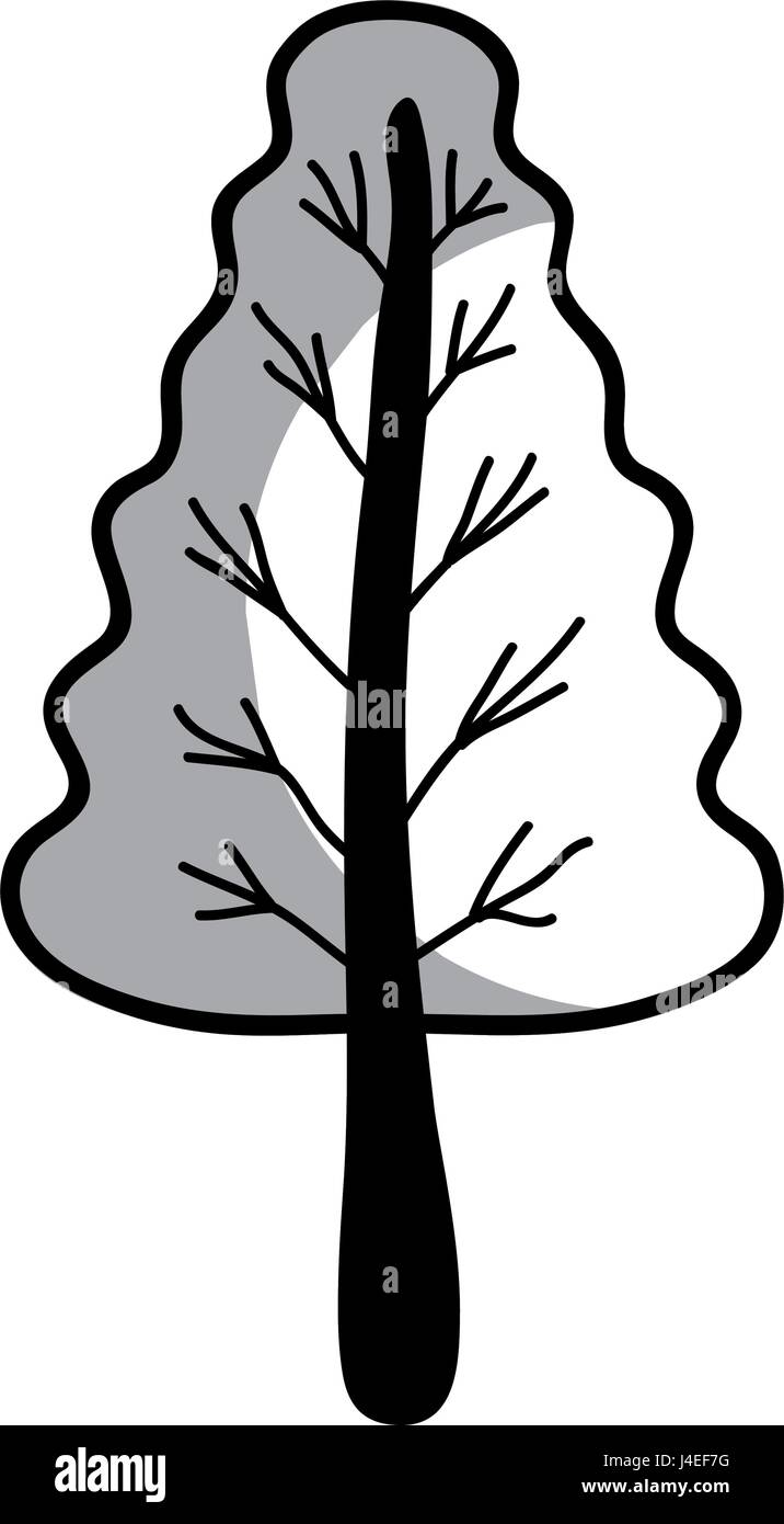 Line pine tree flower Stock Vector Images - Alamy