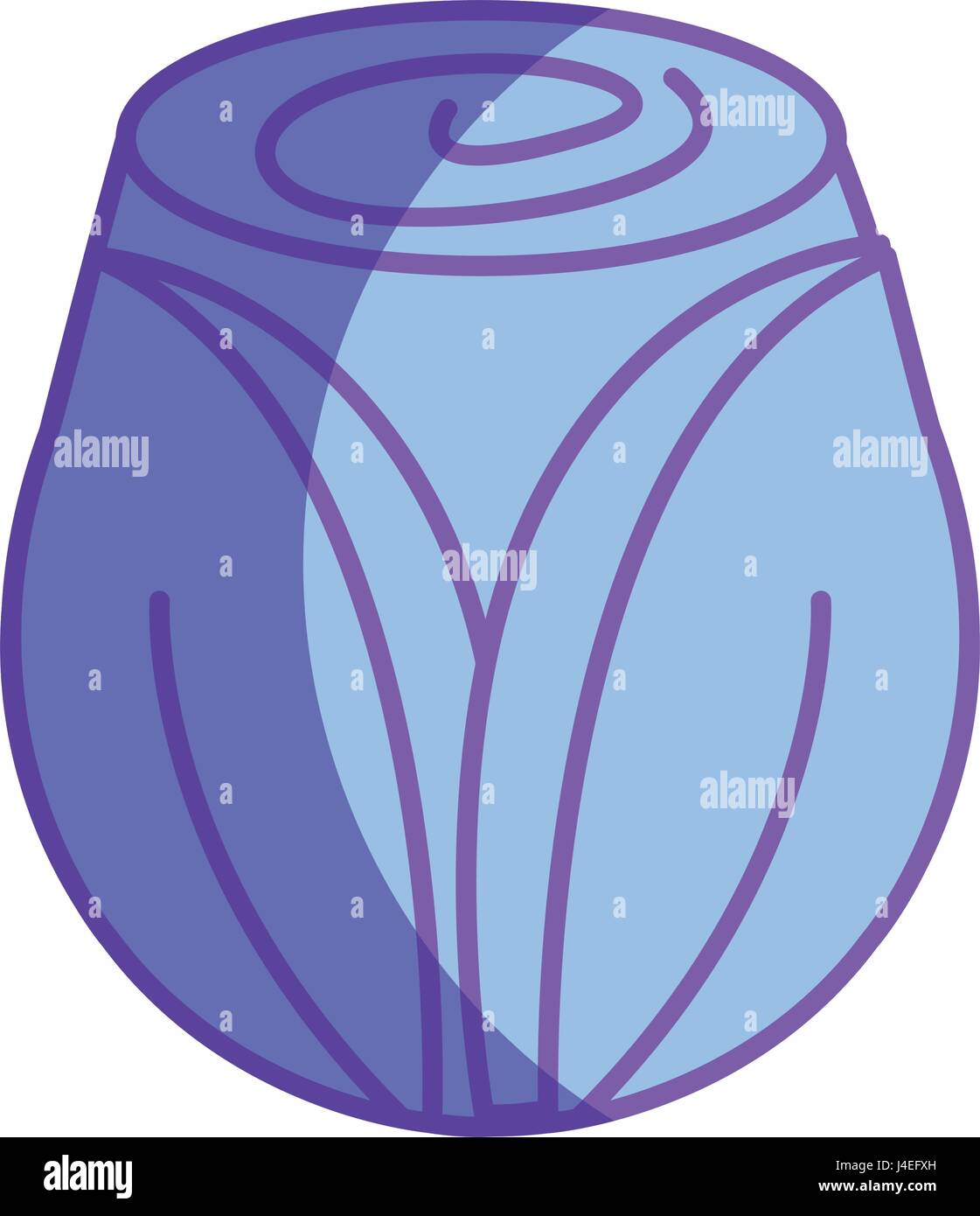 beautiful petals flower herbal botany Stock Vector Image & Art - Alamy