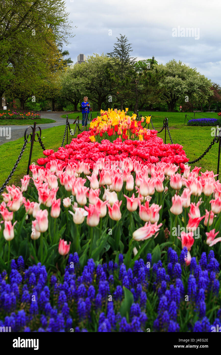 Families and couples enjoying springtime in Albany NY at Washington ...