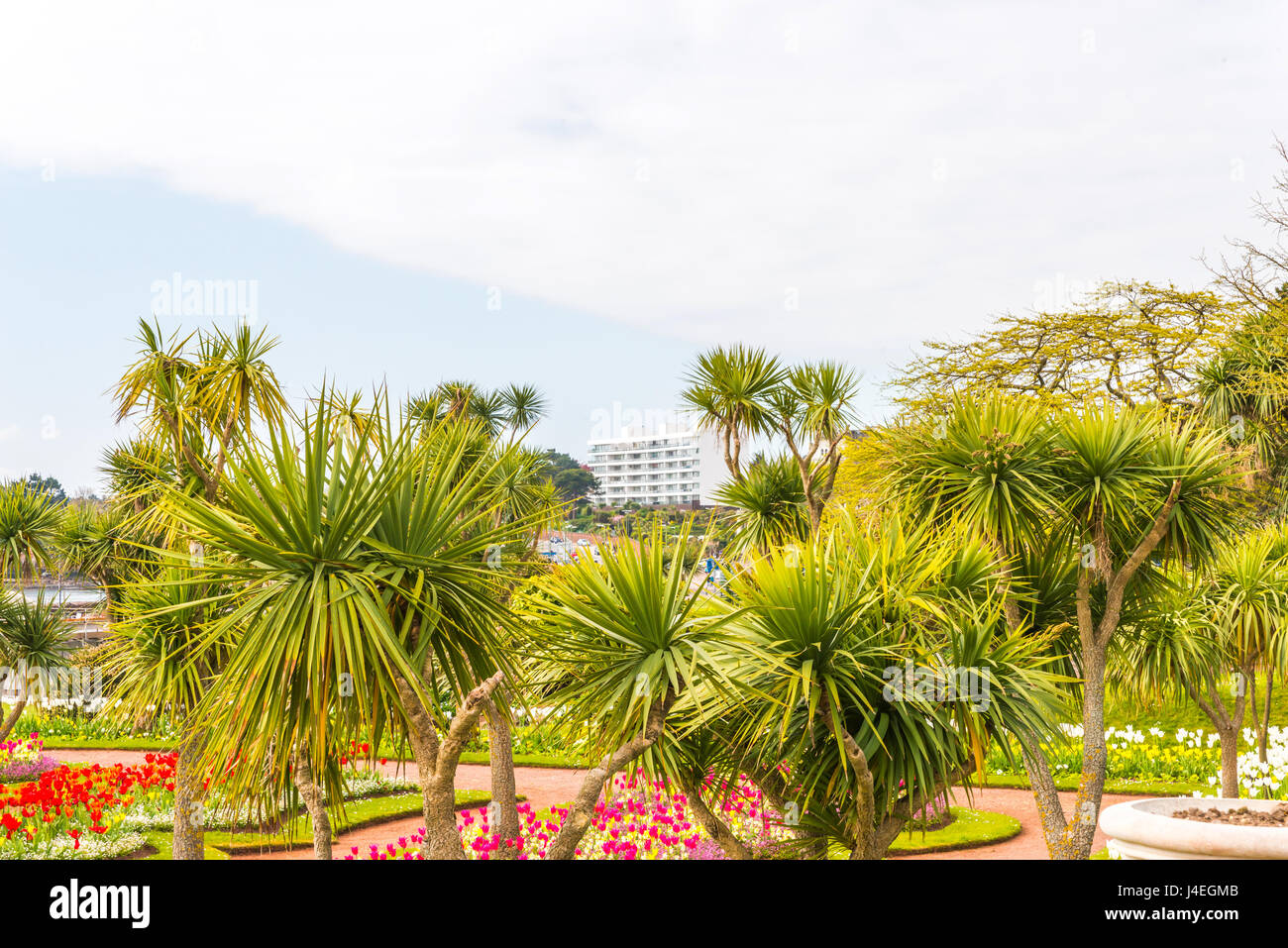 City park with exotic trees and lots of color flowers, a wonderful ...