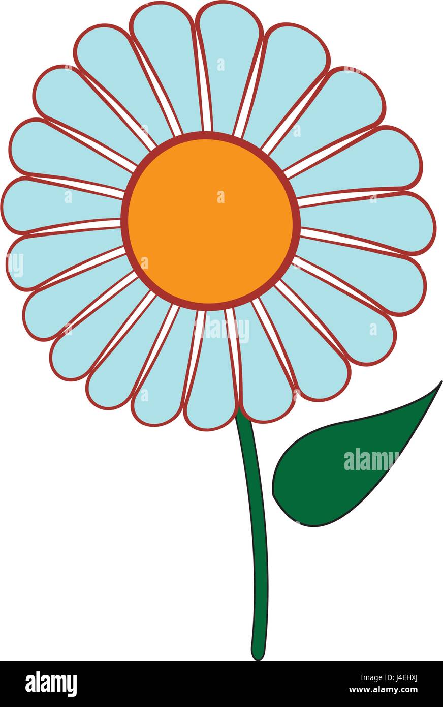 beautiful single daisy flower isolated on white background Stock Vector ...