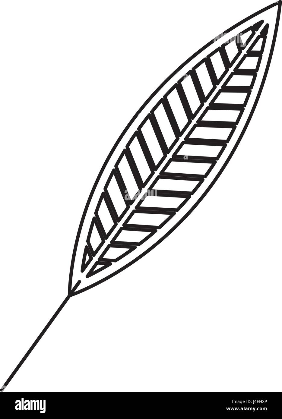 leave natural fresh botanic foliage decorative outline Stock Vector ...