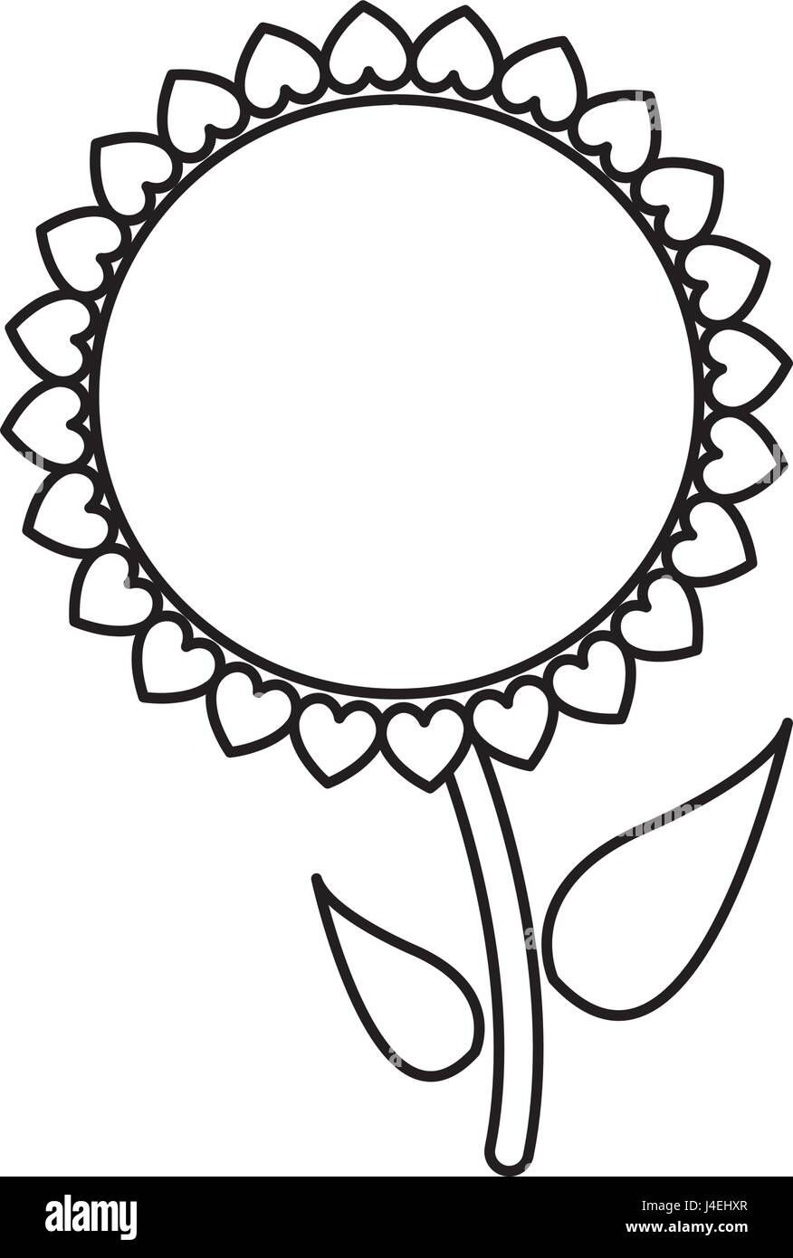 sunflower plant stem natural garden outline Stock Vector Image & Art ...