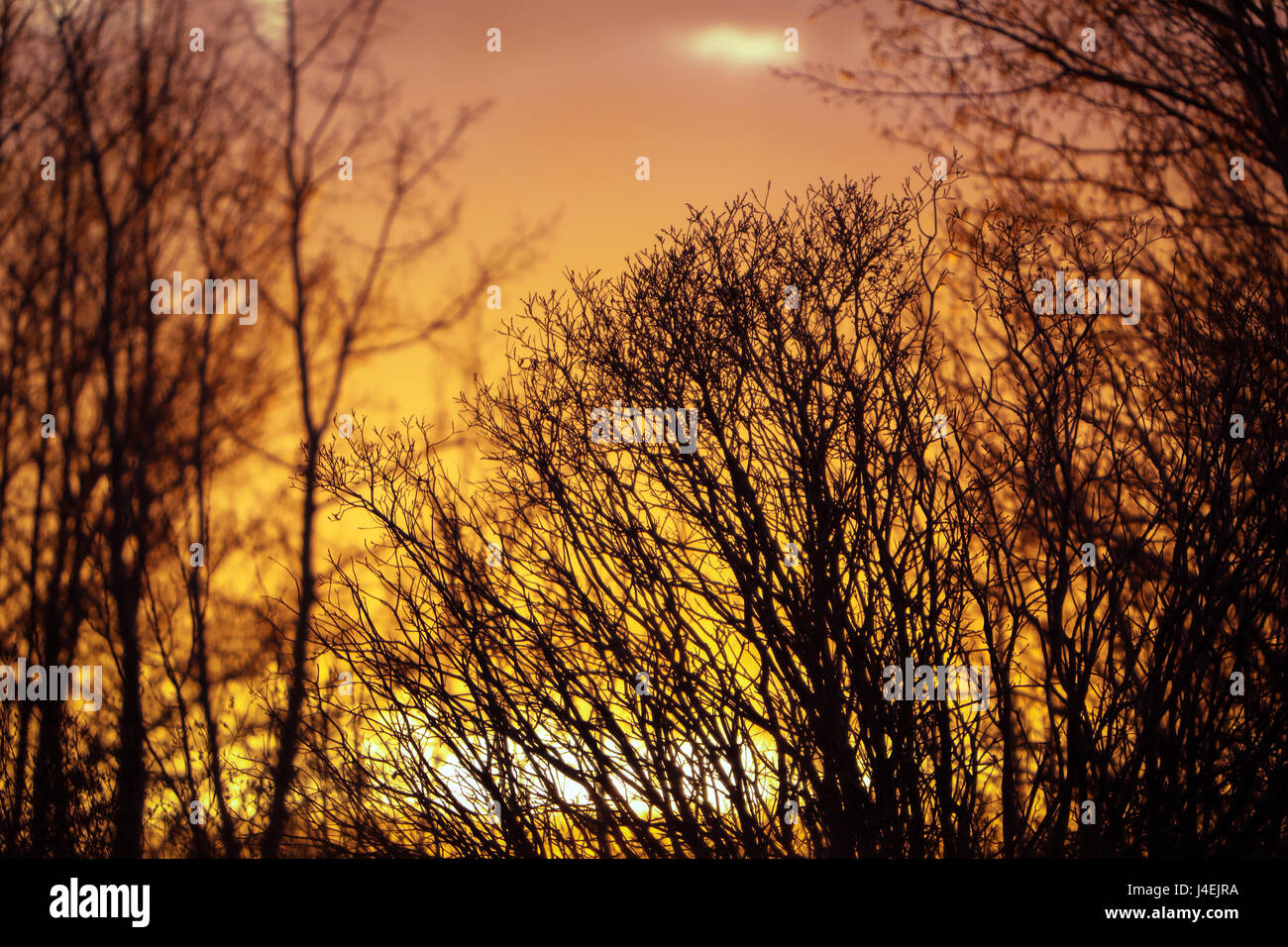 The most beautiful sunset ripples across a small town landscape Stock ...