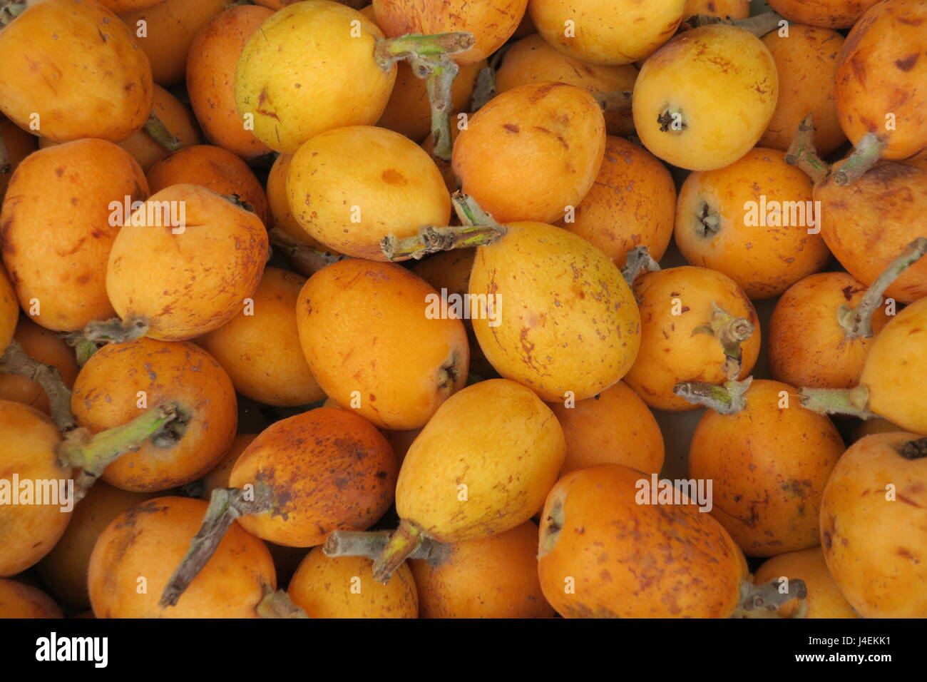 Rounded crown tree hi-res stock photography and images - Alamy
